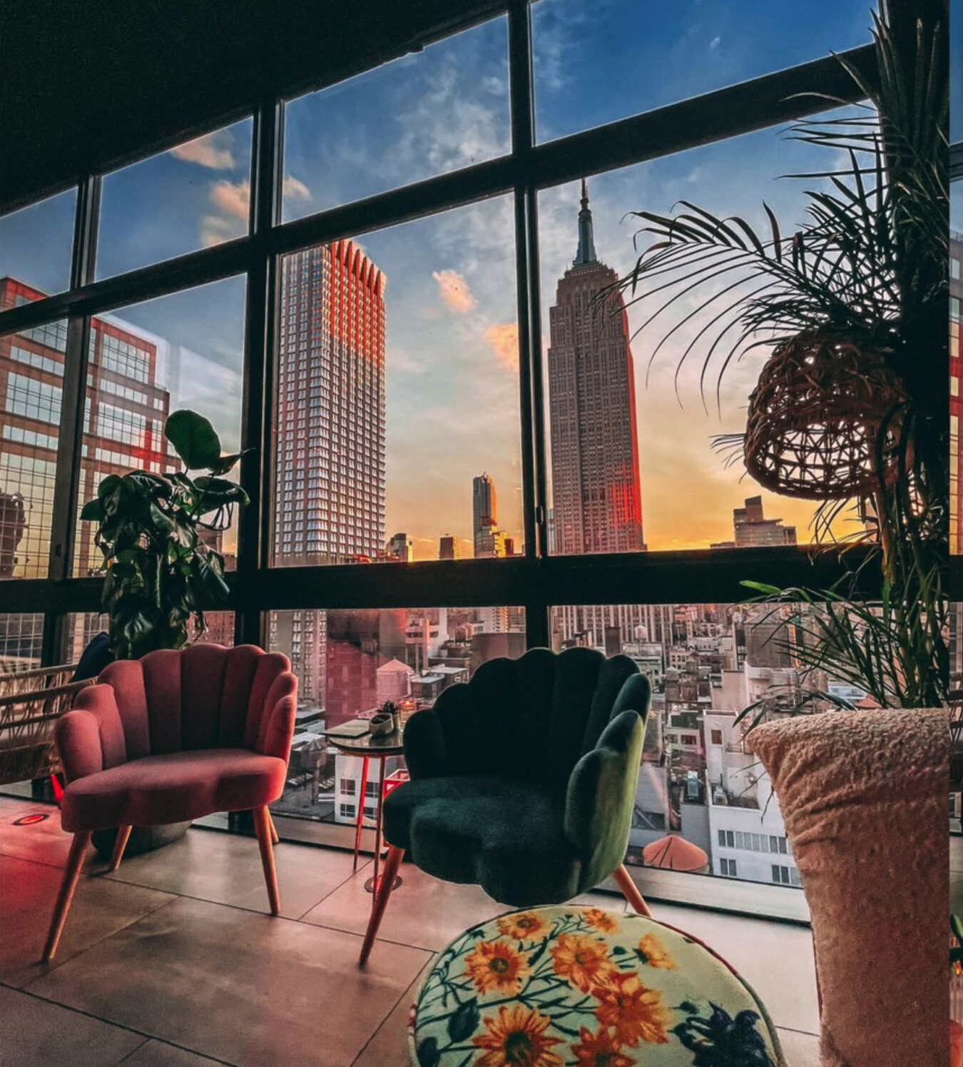 Daintree Rooftop Bar & Lounge: Rainforest Inspired Cocktails and ...