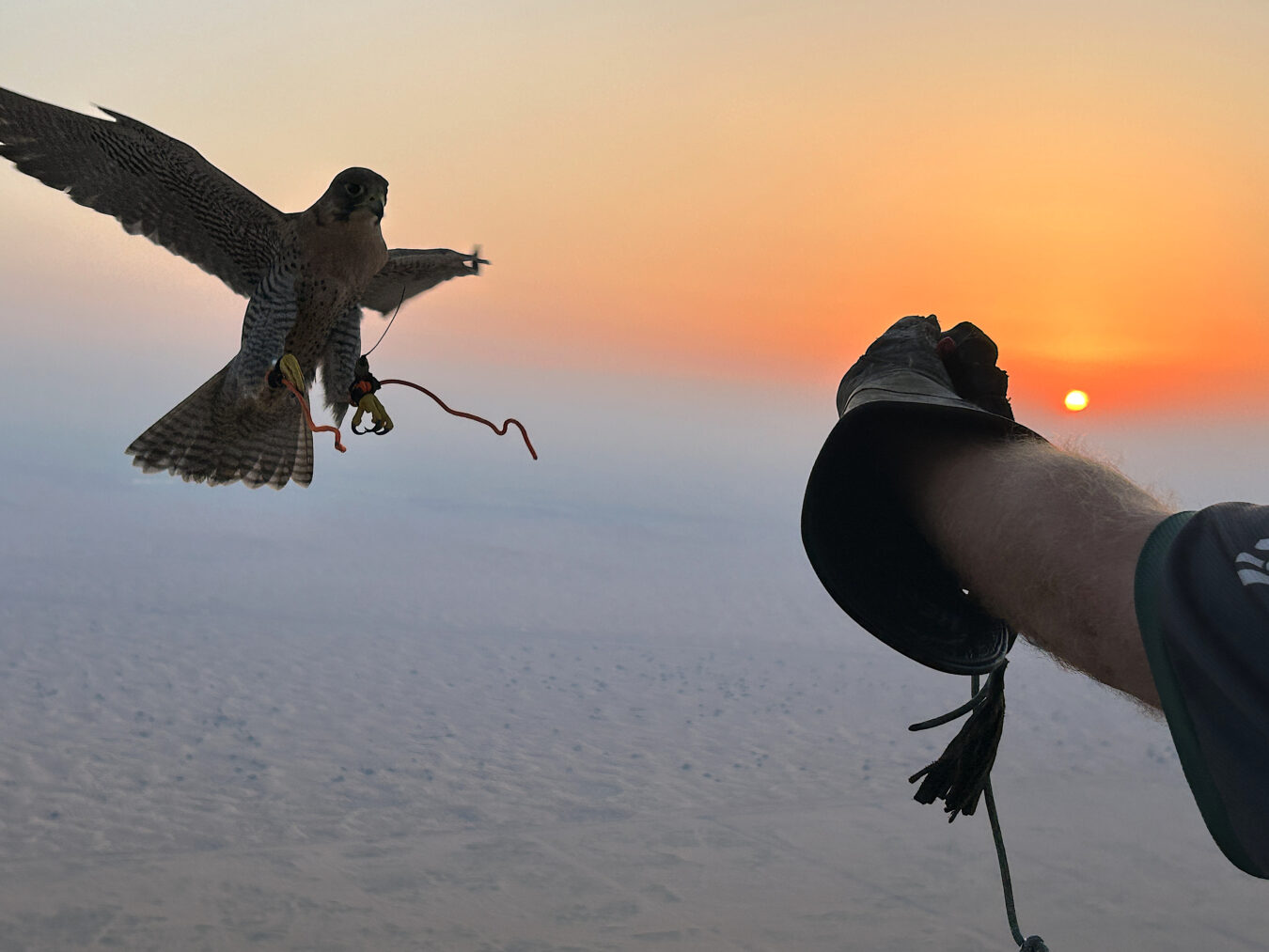 The HERO Experiences Group: Desert Adventure Beyond Dubai – Millennium ...