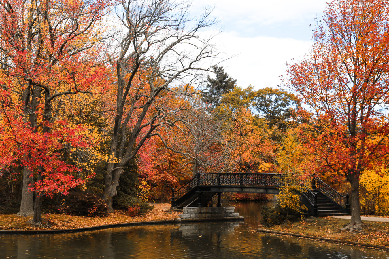 Bye Bye Summer, Hello Autumn! – Millennium Magazine